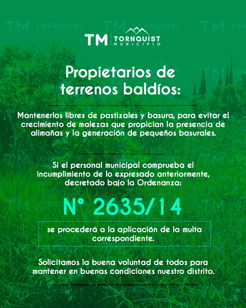 Solicitan mantener los terrenos baldíos libres de pastizales y basura