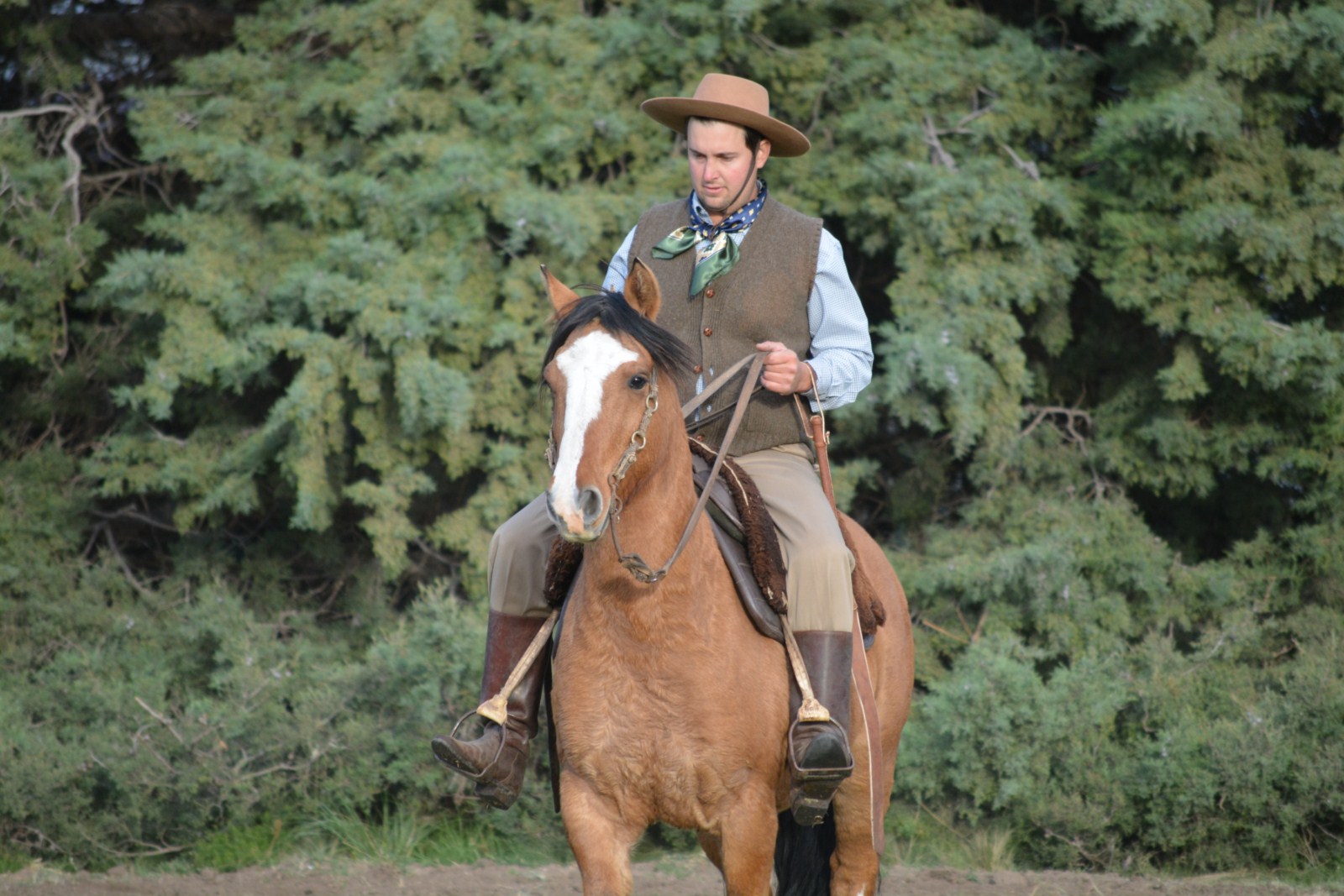 La expo criollos y comercial se vive a pleno en la rural de Tornquist