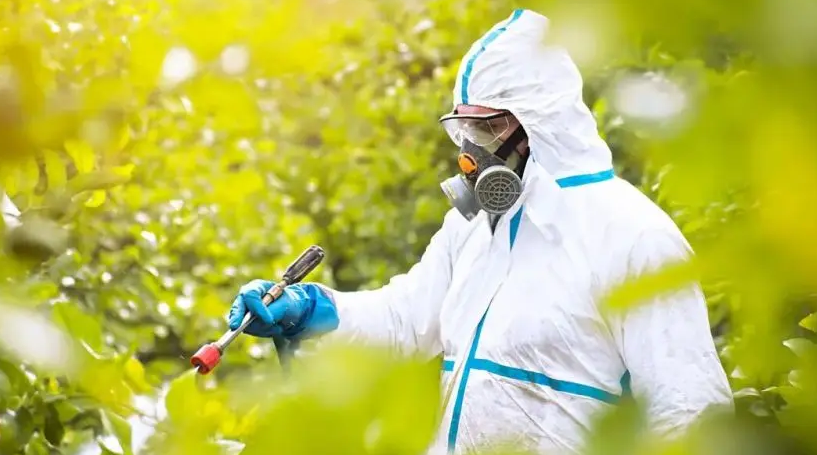 A partir del 3 de agosto, se prohíbe el uso de productos formulados con ...