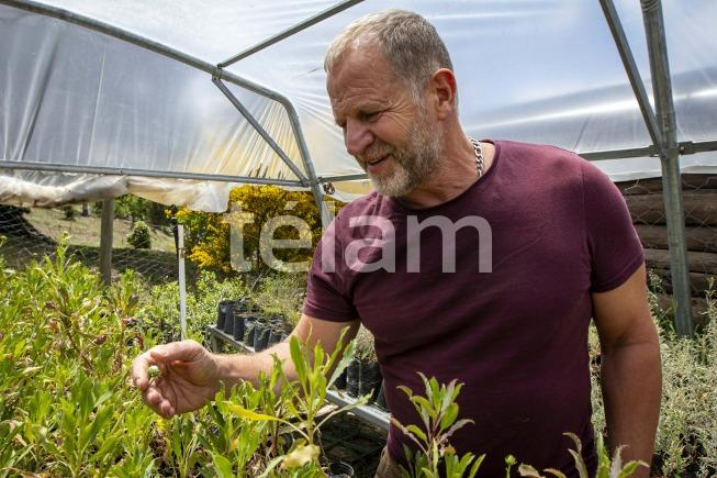 "Las especies de abejas se redujeron entre un 25 y 30 por ciento en 40 ...