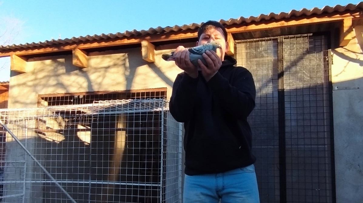 Mundo Colombófilo: Marcelo Castillo y otra gran victoria desde Bragado