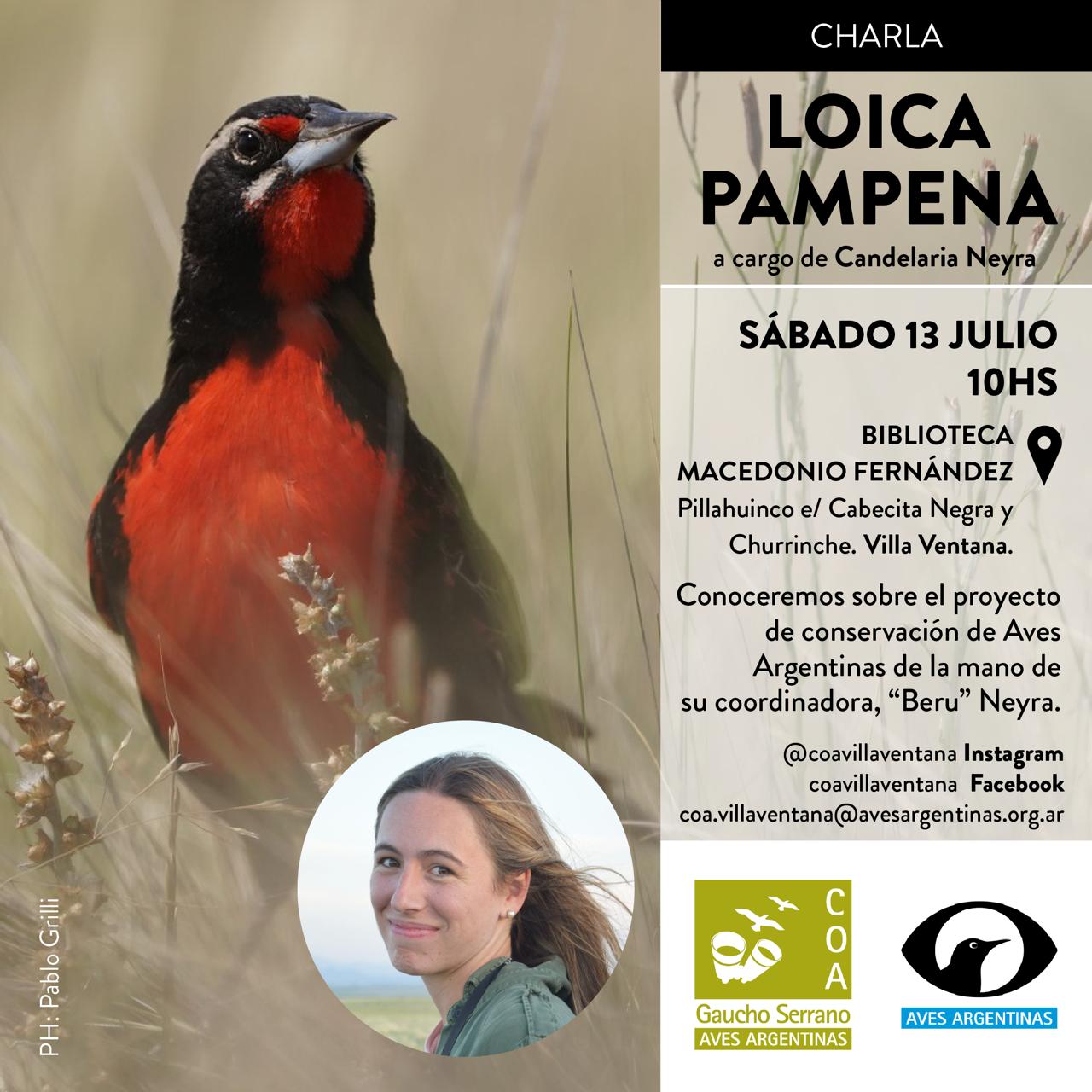 AVES: Charla sobre la Loica pampeana y su preservación en Villa Ventana