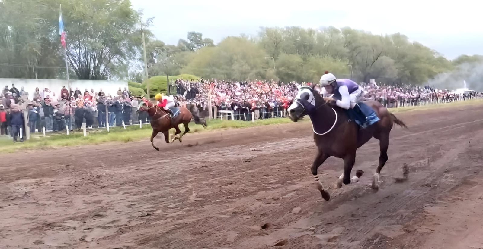 Turf en Macachin: Dos triunfos para Saldungaray del Stud “El Turquito”