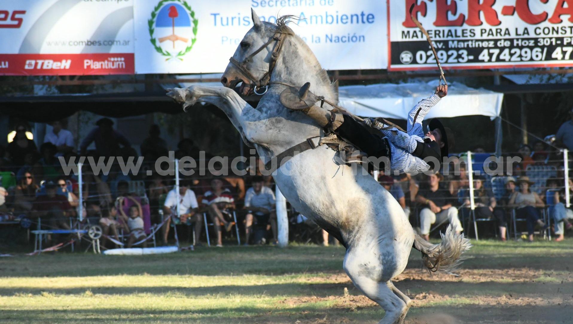 Premiados en gurupa y cuero tendido en las encadenadas de Pigue